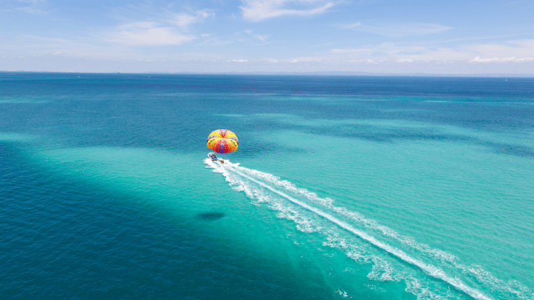 Special Interest Tourism: Find Your Niche - Rezgo